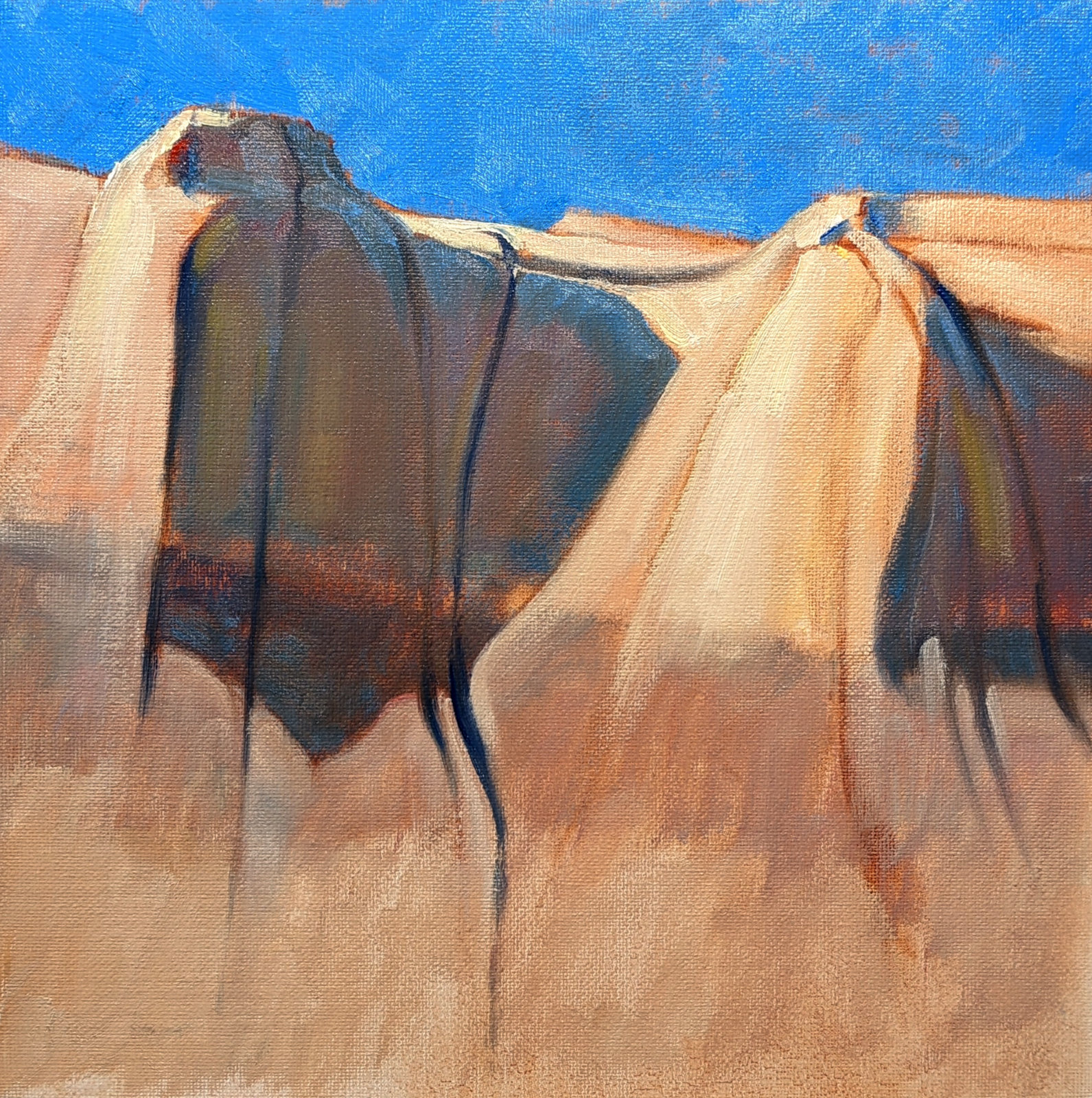 Monument Shadows 12x12 Oil - Michael Chesley Johnson | Artist | Author